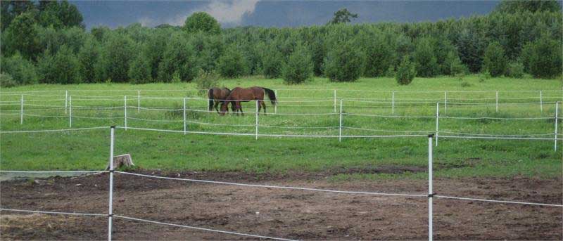Fiberglass fence posts